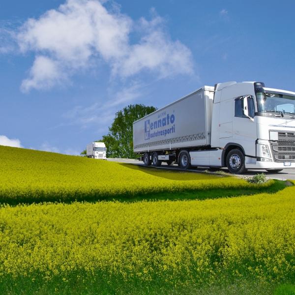 Trasporto alimenti